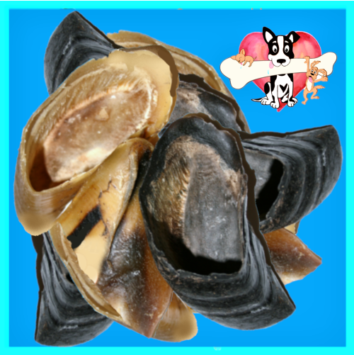 Beef Cow Hoof 12 Hooves