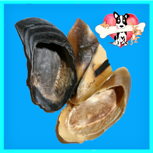 Beef Cow Hoof 6 Pieces